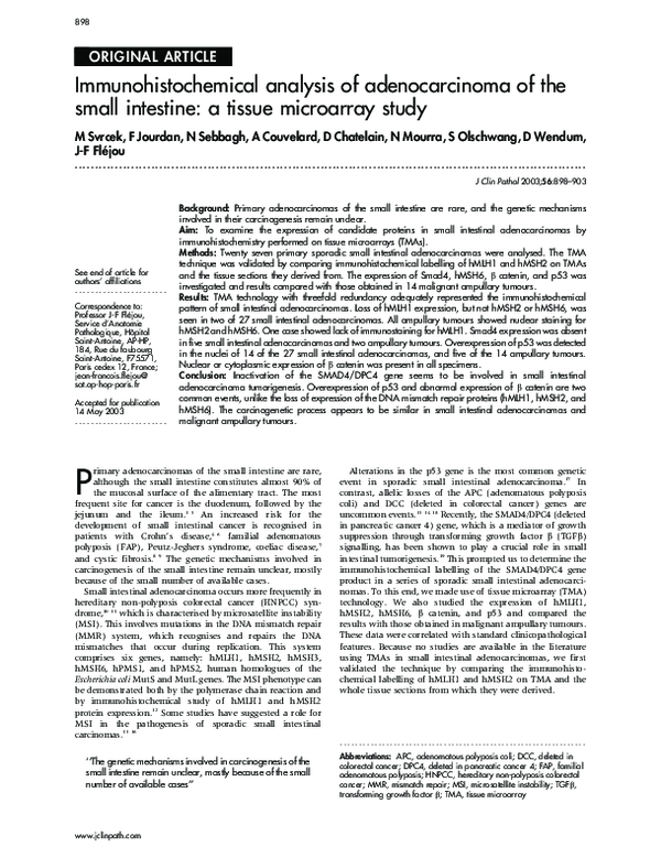 (PDF) Immunohistochemical analysis of adenocarcinoma of the small ...