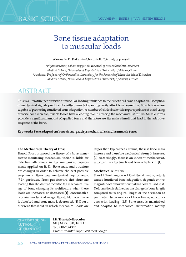 (PDF) Bone tissue adaptation to muscular loads