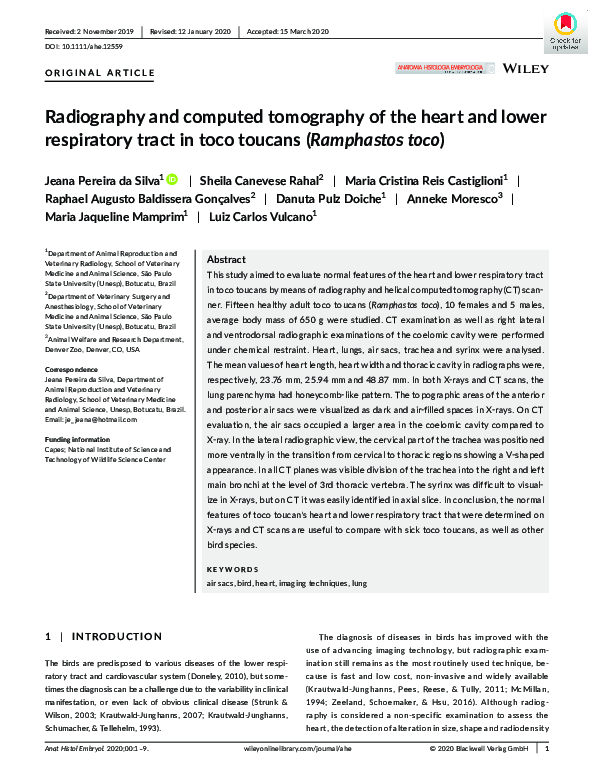 (PDF) Radiography and computed tomography of the heart and lower ...