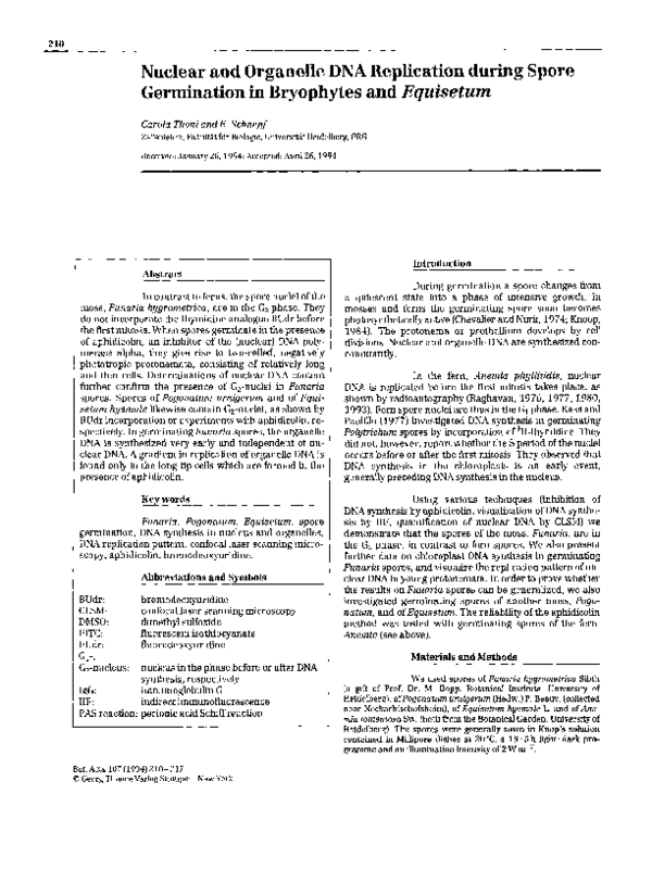 (PDF) Nuclear and Organelle DNA Replication during Spore Germination in ...