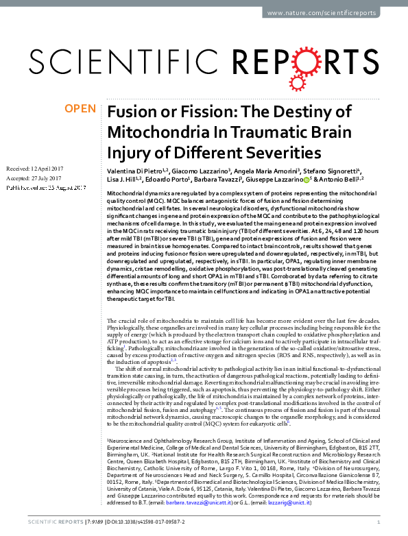 (PDF) Fusion or Fission: The Destiny of Mitochondria In Traumatic Brain ...