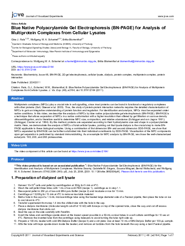 (PDF) Blue Native Polyacrylamide Gel Electrophoresis (BN-PAGE) for the ...