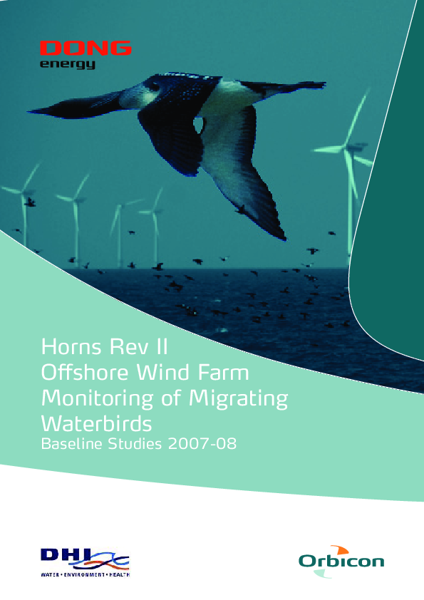 (PDF) Horns Rev II Offshore Wind Farm Monitoring of Migrating Waterbirds