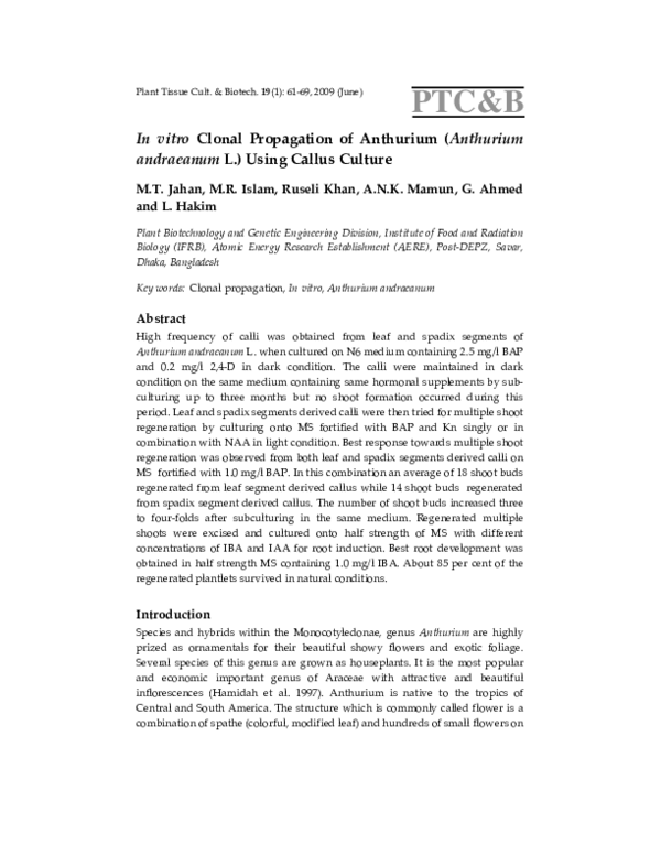 (PDF) In vitro Clonal Propagation of Anthurium (Anthurium andraeanum L ...