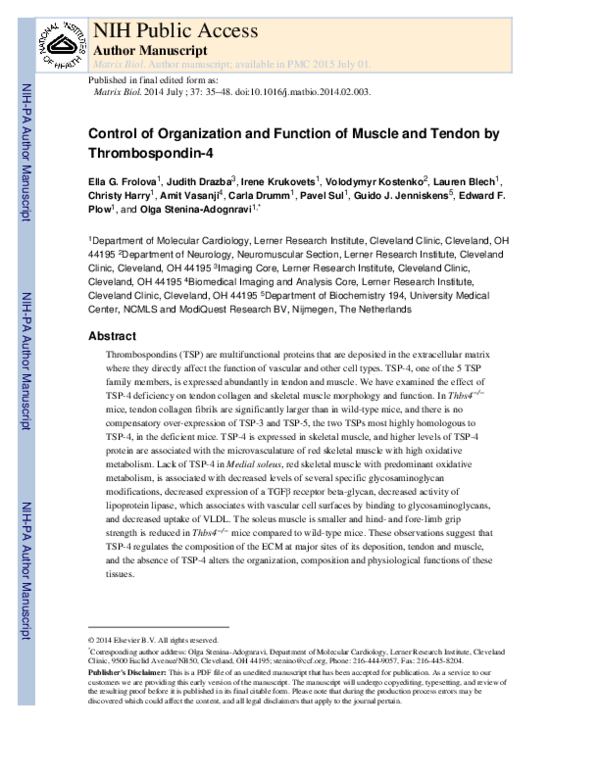 (PDF) Control of organization and function of muscle and tendon by ...
