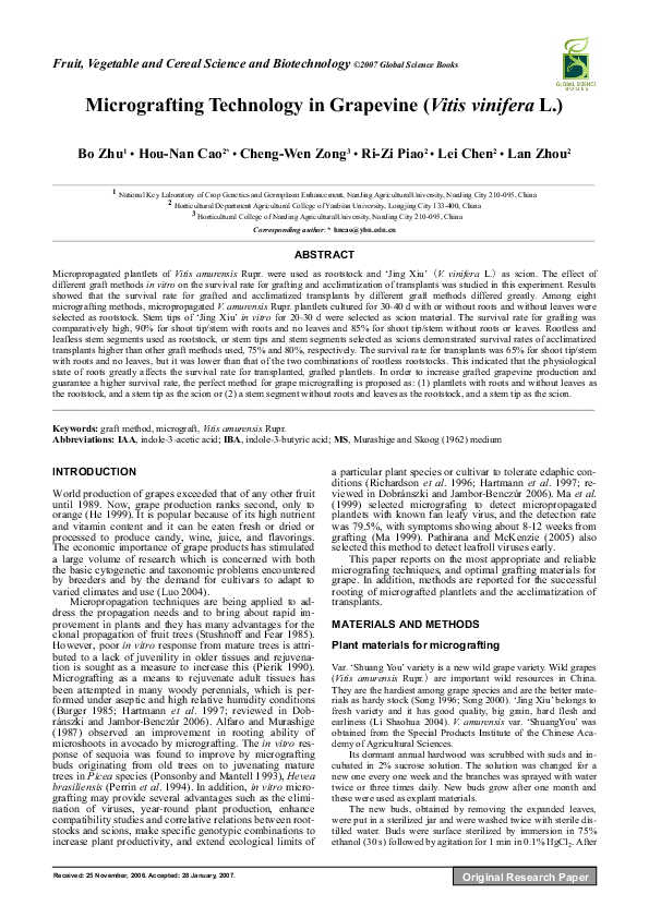 (PDF) Micrografting Technology in Grapevine (Vitis vinifera L.)