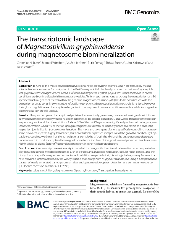 (PDF) The transcriptomic landscape of Magnetospirillum gryphiswaldense ...