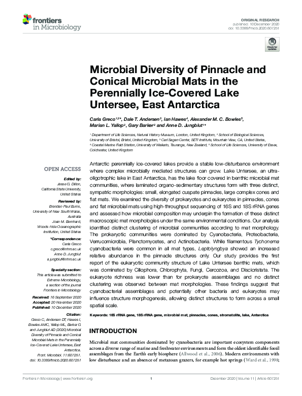 (PDF) Microbial Diversity of Pinnacle and Conical Microbial Mats in the ...