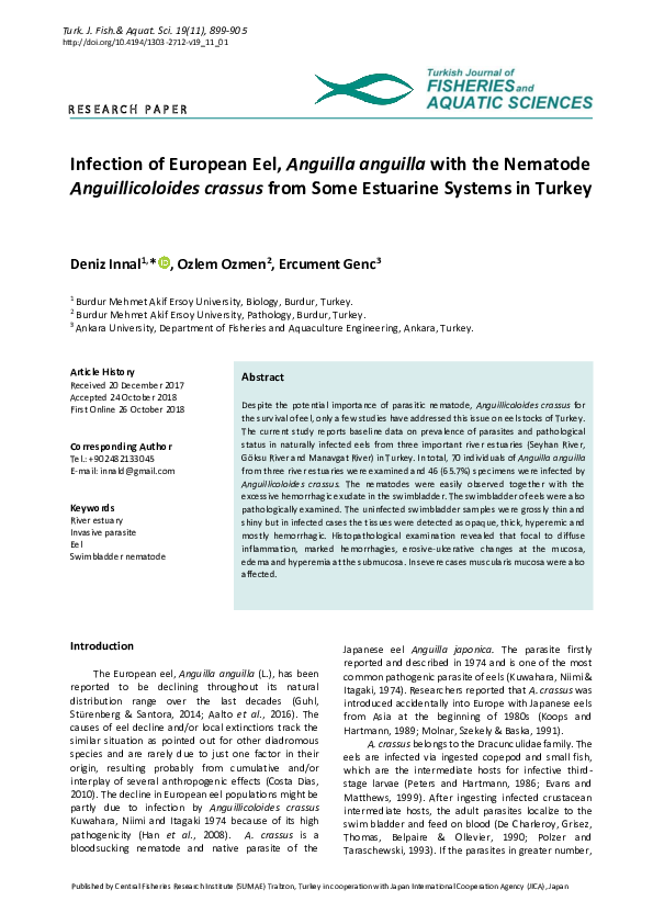 (PDF) Infection of European Eel, Anguilla anguilla with the Nematode ...