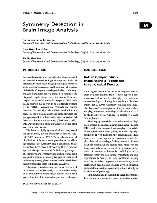(PDF) Symmetry Detection in Brain Image Analysis