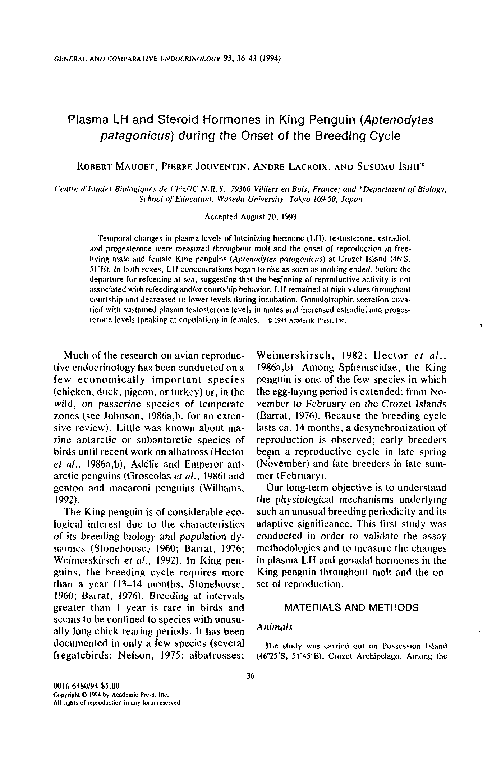 (PDF) Plasma LH and Steroid Hormones in King Penguin (Aptenodytes ...