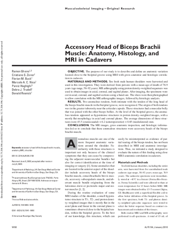 (PDF) Accessory Head of Biceps Brachii Muscle: Anatomy, Histology, and ...