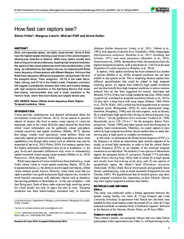 (PDF) How fast can raptors see?