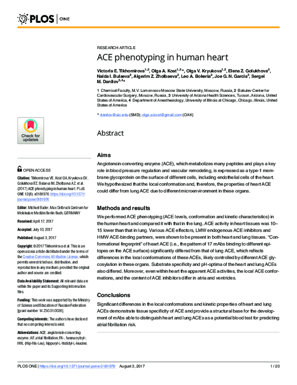 (PDF) ACE phenotyping in human heart