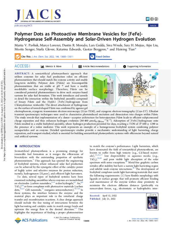 (PDF) Polymer Dots as Photoactive Membrane Vesicles for [FeFe]-Hydrogenase Self-Assembly and ...