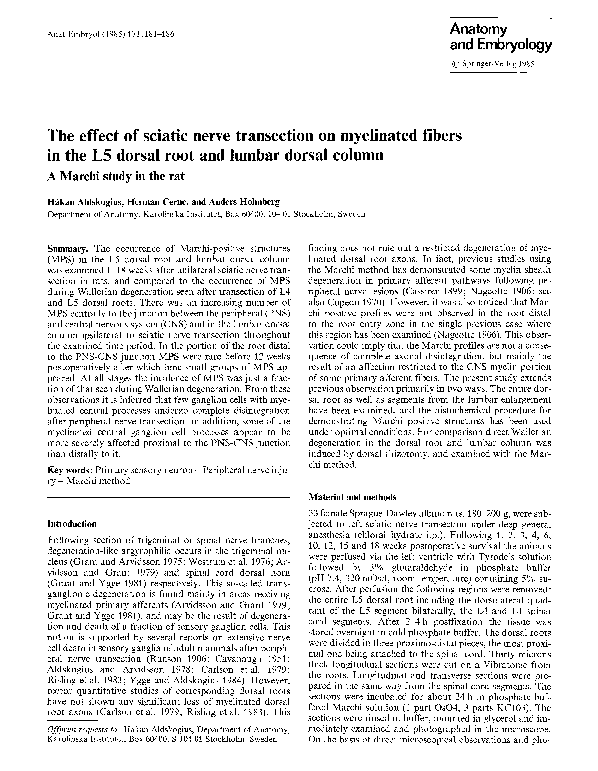 (PDF) The effect of sciatic nerve transection on myelinated fibers in ...