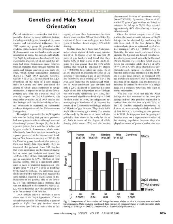 (PDF) Genetics and Male Sexual Orientation