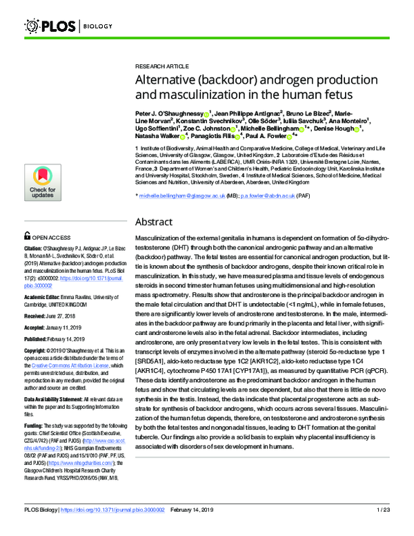 (PDF) Alternative (backdoor) androgen production and masculinization in the human fetus