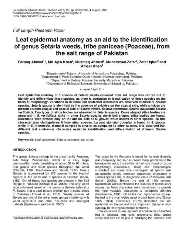 (PDF) Leaf epidermal anatomy as an aid to the identification of genus ...
