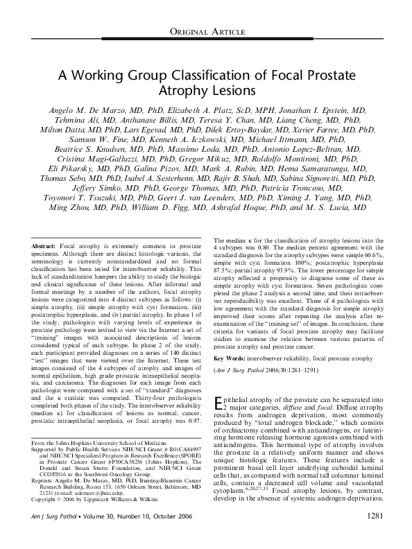 (PDF) A Working Group Classification of Focal Prostate Atrophy Lesions