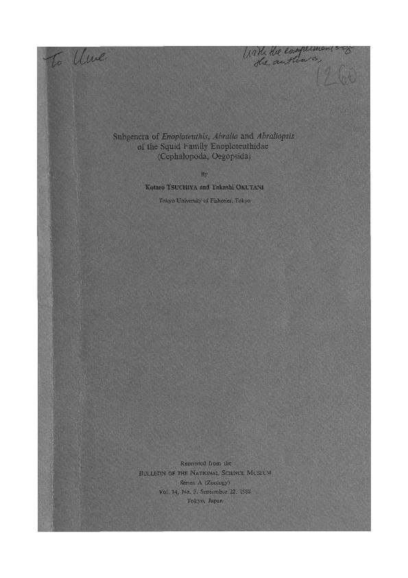 (PDF) Subgenera of Enoploteuthis, Abralia and Abraliopsis of the Squid ...