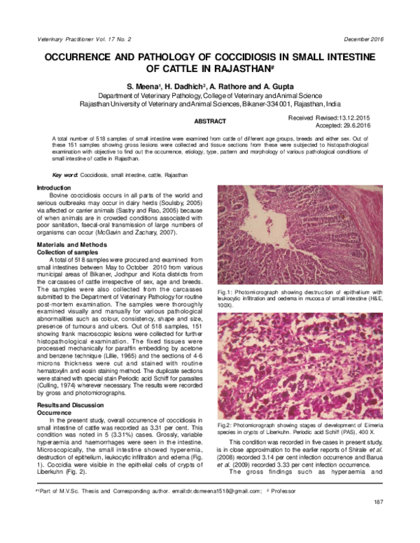 (PDF) OCCURRENCE AND PATHOLOGY OF COCCIDIOSIS IN SMALL INTESTINE OF ...