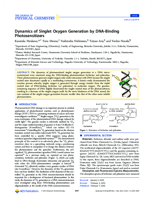 (PDF) Dynamics of Singlet Oxygen Generation by DNA-Binding Photosensitizers