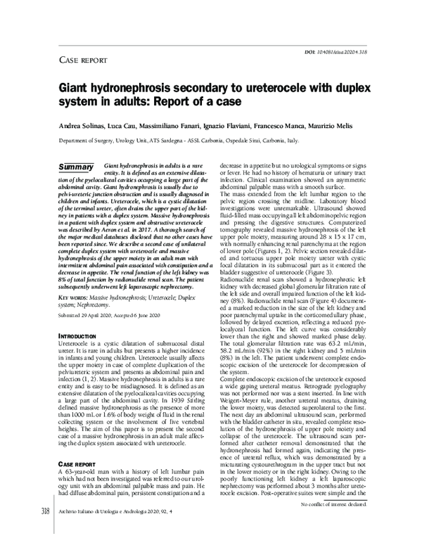 (PDF) Giant hydronephrosis secondary to ureterocele with duplex system ...
