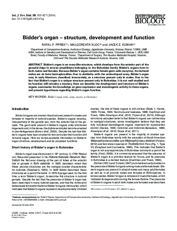 (PDF) Bidder’s organ – structure, development and function