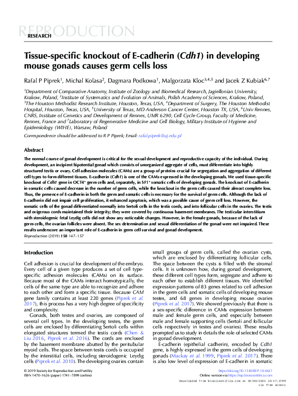 (PDF) Tissue-specific knockout of E-cadherin (Cdh1) in developing mouse ...