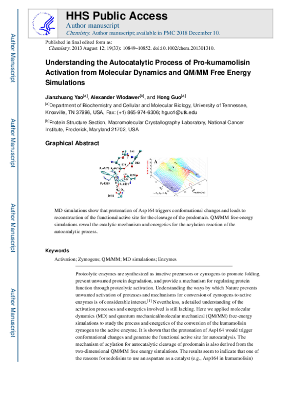 (PDF) Understanding the Autocatalytic Process of Pro-kumamolisin ...