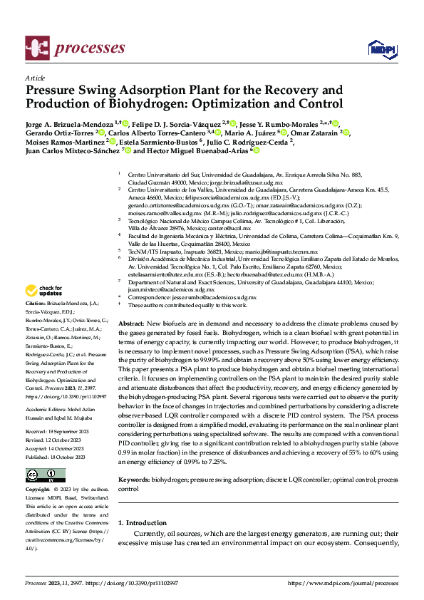 (PDF) Pressure Swing Adsorption Plant for the Recovery and Production of Biohydrogen ...