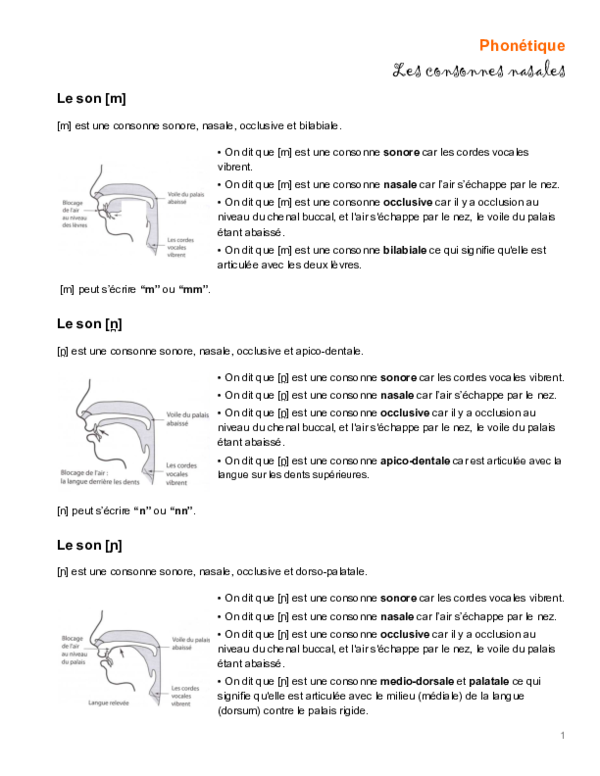 (PDF) Les consonnes nasales