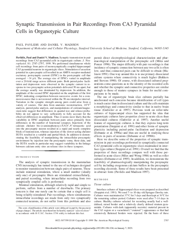 (PDF) Synaptic Transmission in Pair Recordings From CA3 Pyramidal Cells in Organotypic Culture ...