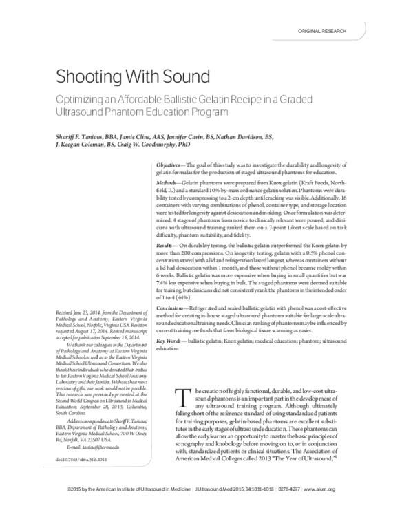 (PDF) Shooting With Sound