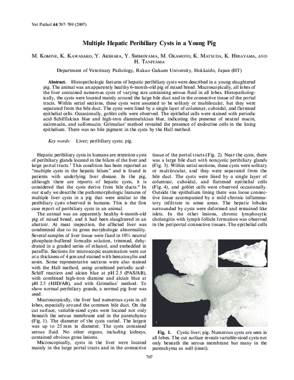 (PDF) Multiple Hepatic Peribiliary Cysts in a Young Pig