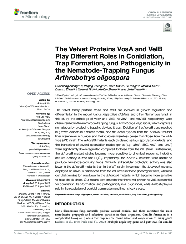 (PDF) The Velvet Proteins VosA and VelB Play Different Roles in ...