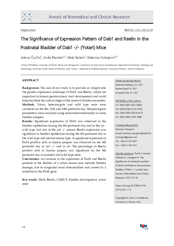 (PDF) The Significance of Expression Pattern of Dab1 and Reelin in the ...