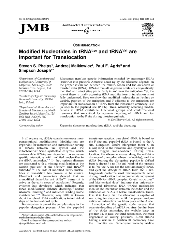 (PDF) Modified Nucleotides in tRNALys and tRNAVal are Important for ...