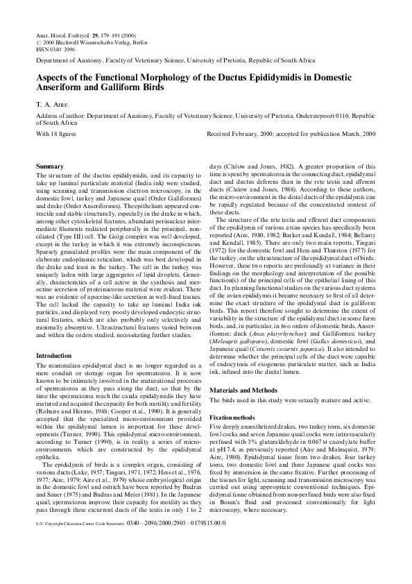 (PDF) Aspects of the Functional Morphology of the Ductus Epididymidis ...