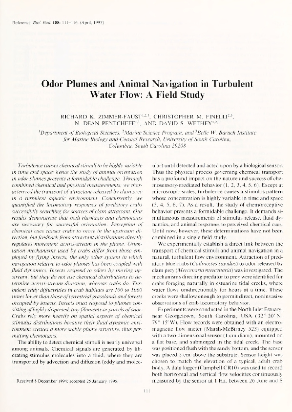 (PDF) Odor Plumes and Animal Navigation in Turbulent Water Flow: A ...