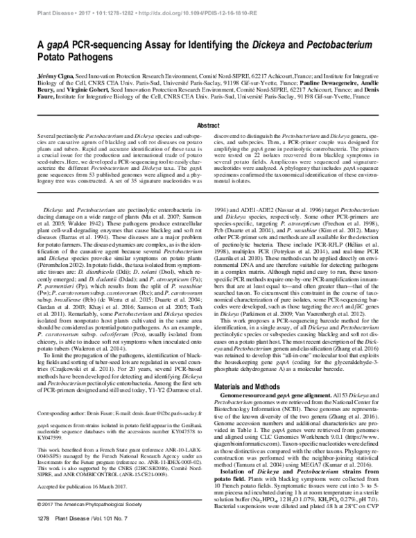 (PDF) A gapA PCR-sequencing Assay for Identifying the Dickeya and ...