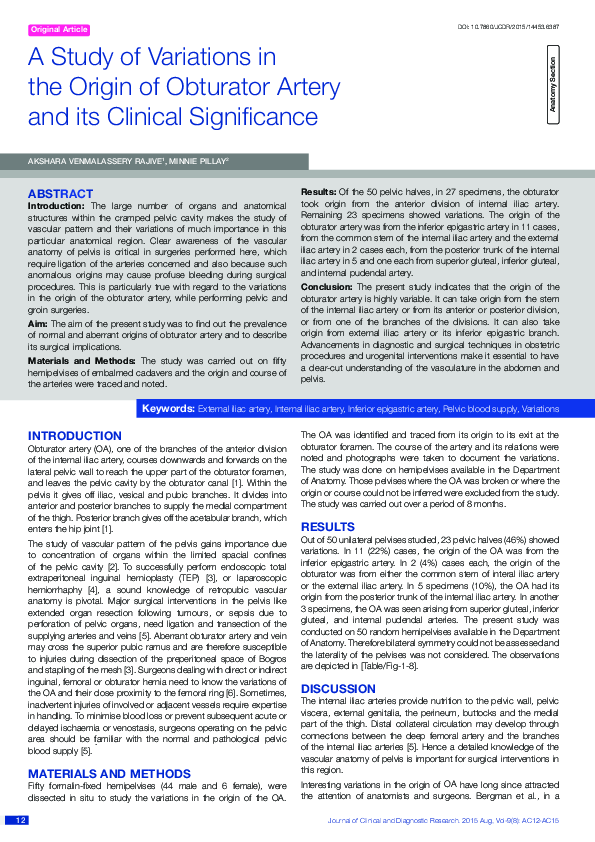 (PDF) A Study of Variations in the Origin of Obturator Artery and its ...
