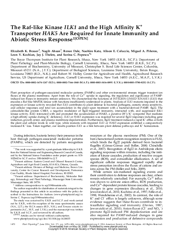 (PDF) The Raf-like kinase ILK1 and the high affinity K+ transporter ...
