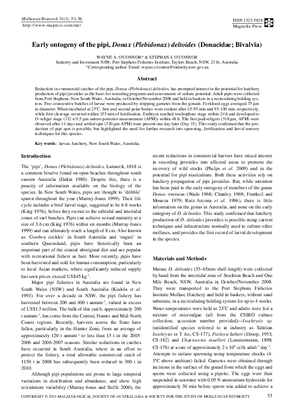 (PDF) Early ontogeny of the pipi, Donax (Plebidonax) deltoides ...
