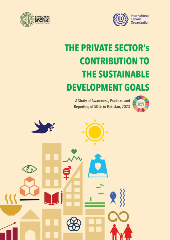 (PDF) The Private Sector’s Contribution to the Sustainable Development ...