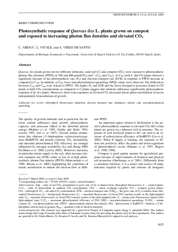 (PDF) Photosynthetic response of Quercus ilex L. plants grown on ...