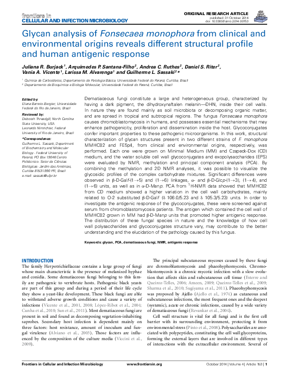 (PDF) Glycan analysis of Fonsecaea monophora from clinical and ...