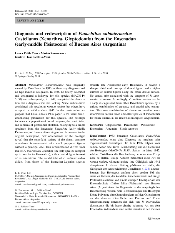 (PDF) Diagnosis and redescription of Panochthus subintermedius ...