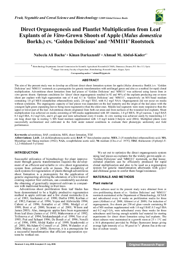(PDF) Direct Organogenesis and Plantlet Multiplication from Leaf ...